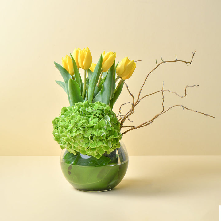 Buy Pretty Tulip Hydrengia Online in Philippines - FNP PH